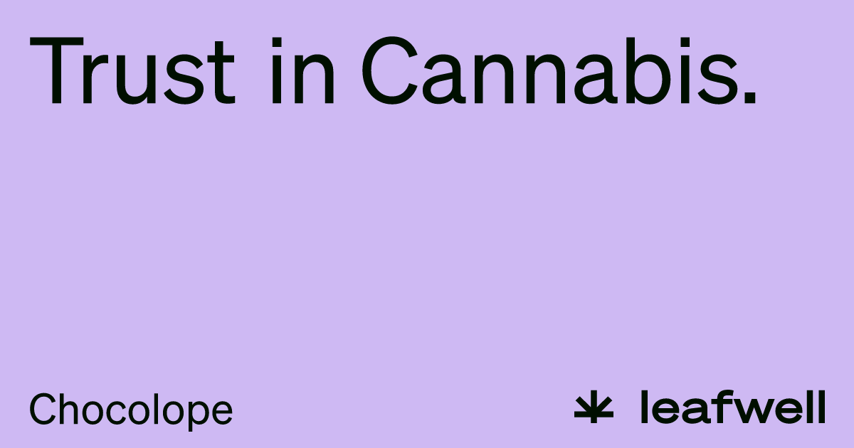 Chocolope Marijuana Strain